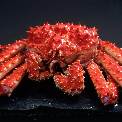 【カニ の王様】本タラバガニ姿 1kg×6尾 |開業・開店・移転祝いにWebカタログギフト「オフィスギフト」